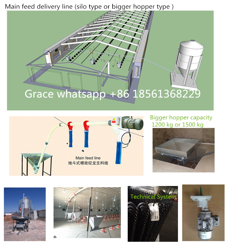 Commercial Automatic Broiler Poultry Feeding System - China Poultry ...