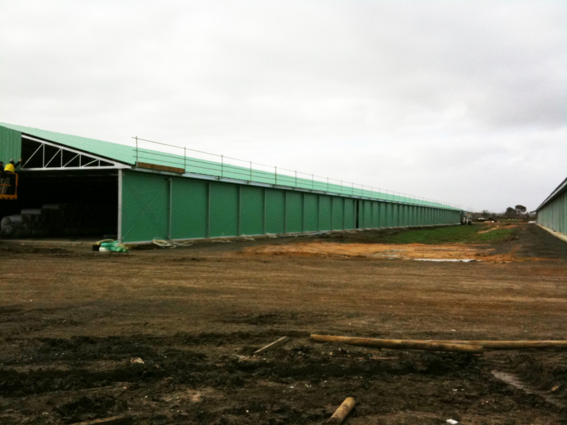 Prefab Commercial Chicken House, Steel Structure Poultry House ...